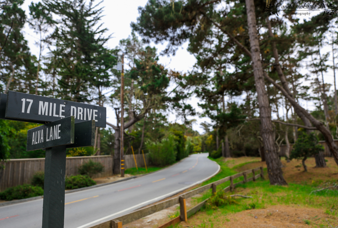 17 Mile Drive, Pebble Beach, California – Crave Cook Click