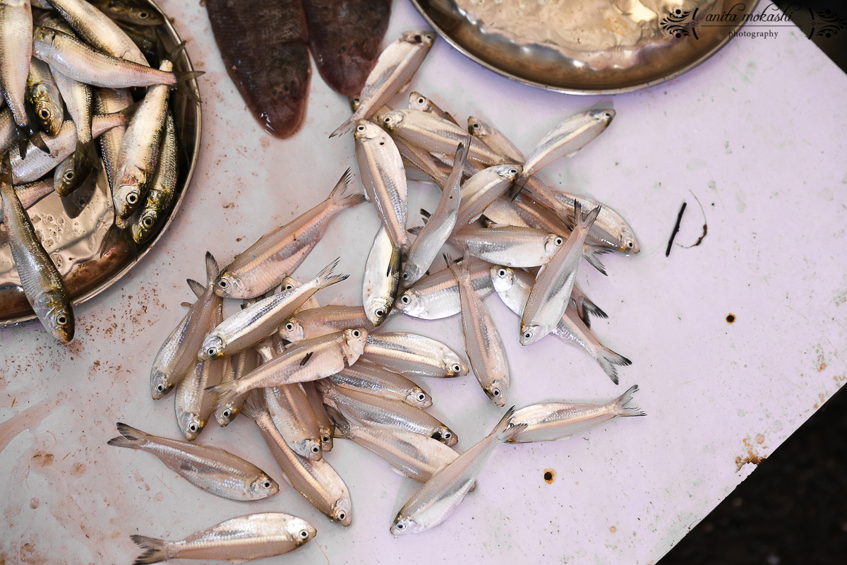 Mumbai Fish Market – Crave Cook Click